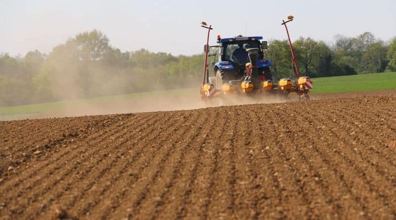 Semis de maïs, du twinrow au rapide pour le plaisir des yeux - Entraid