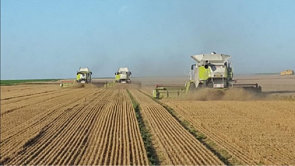 Moissons 2016 : la France va perdre sa place de premier exportateur ...