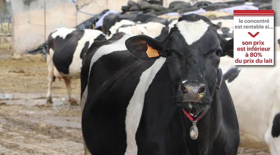 [anti-crise] Gratter sur les coûts de concentrés - Entraid