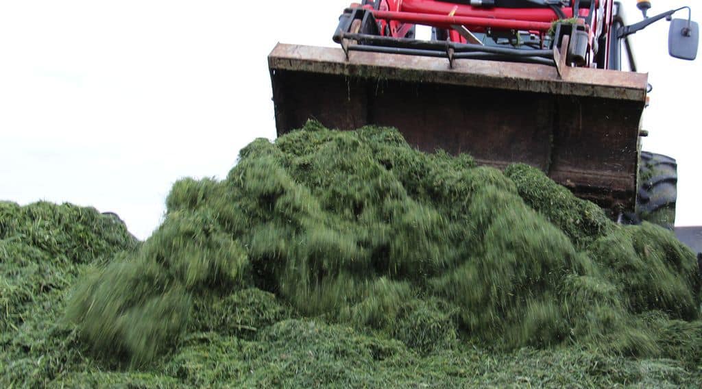 Les ensilages vite faits, et plutôt bien faits - Entraid