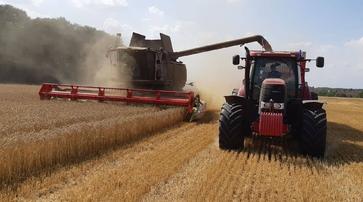 Moissonner en entraide et en famille - Entraid