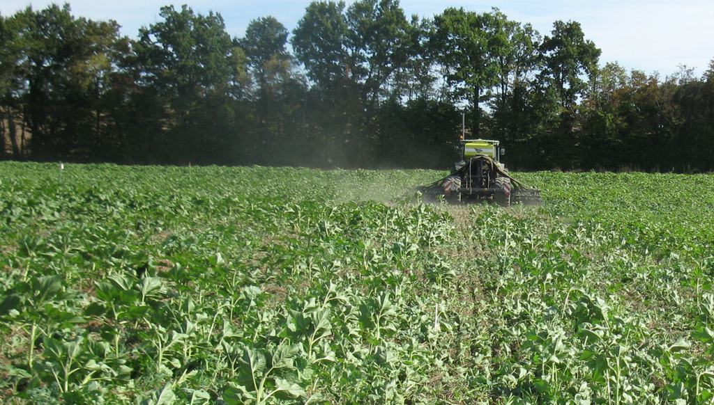 Semis direct : quelle rotation pour la transition?