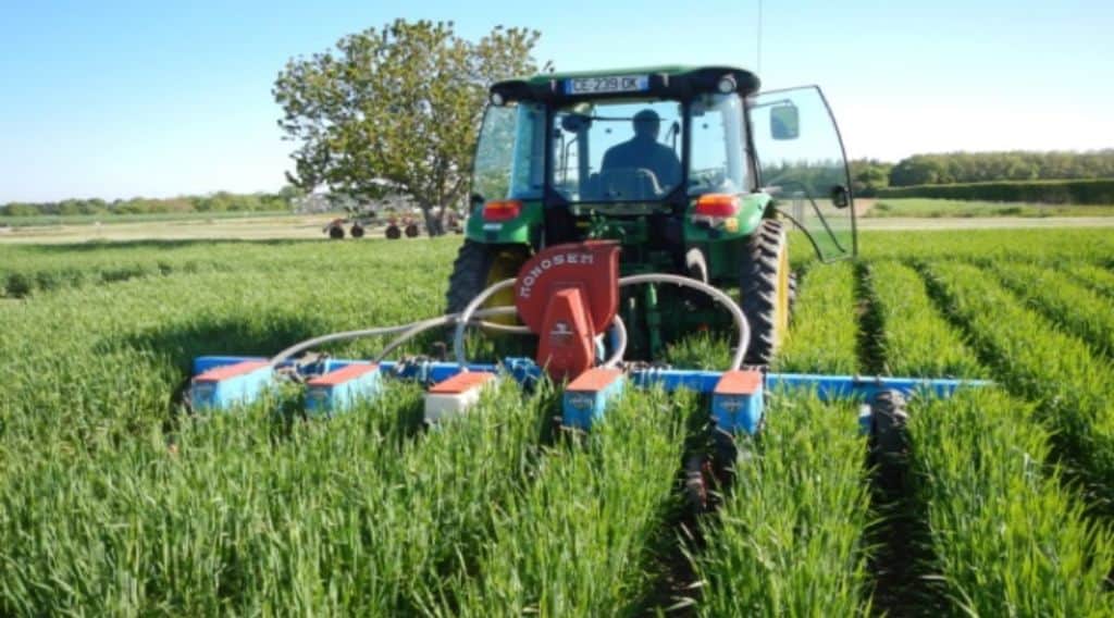 Le relay-cropping ouvre un champ au sorgho - Entraid