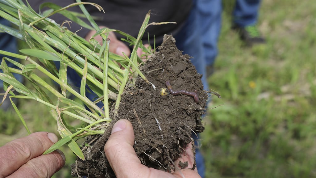 Compaction des sols : l'identifier et la comprendre pour l'éviter - Entraid