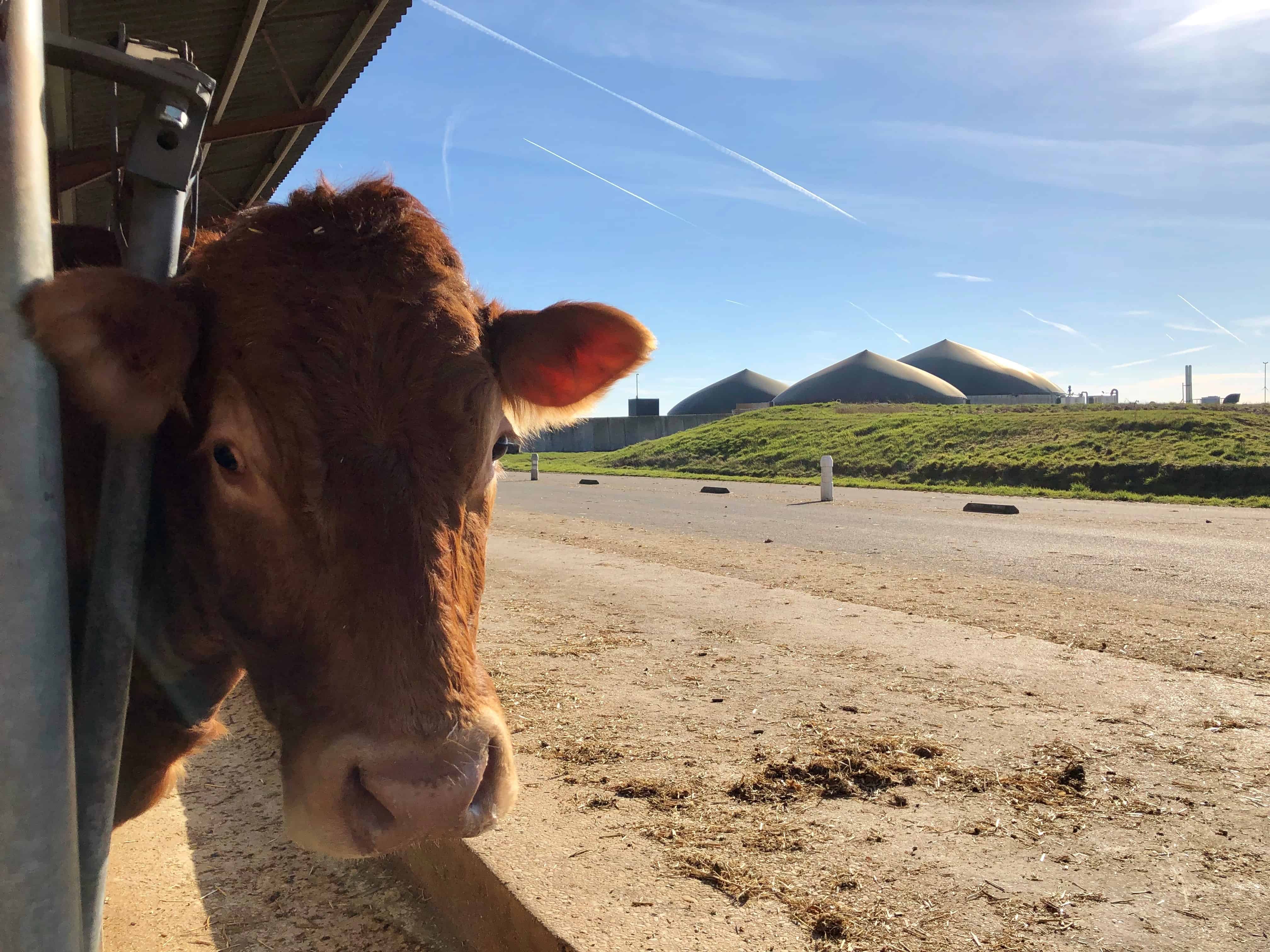 Méthaniser et injecter du biométhane - Entraid