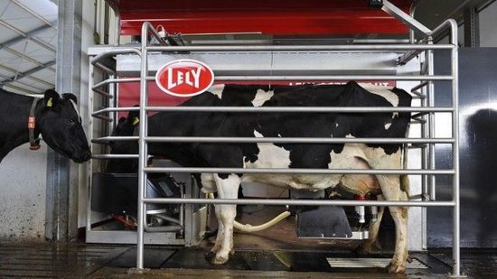 Robot de traite : labeur en moins et coûts en plus - Entraid