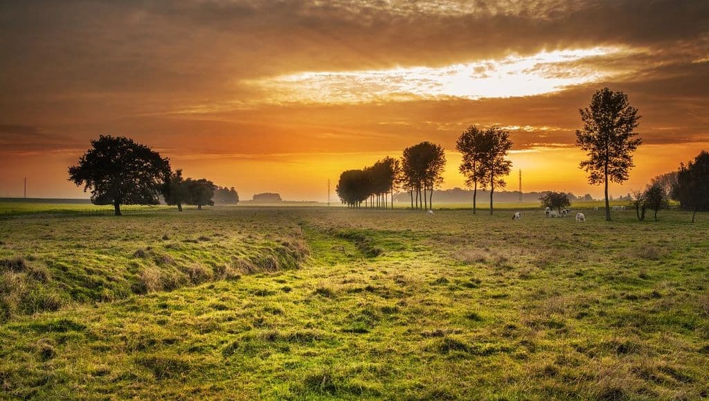 Fermages 2020 : hausse de l'indice national - Entraid