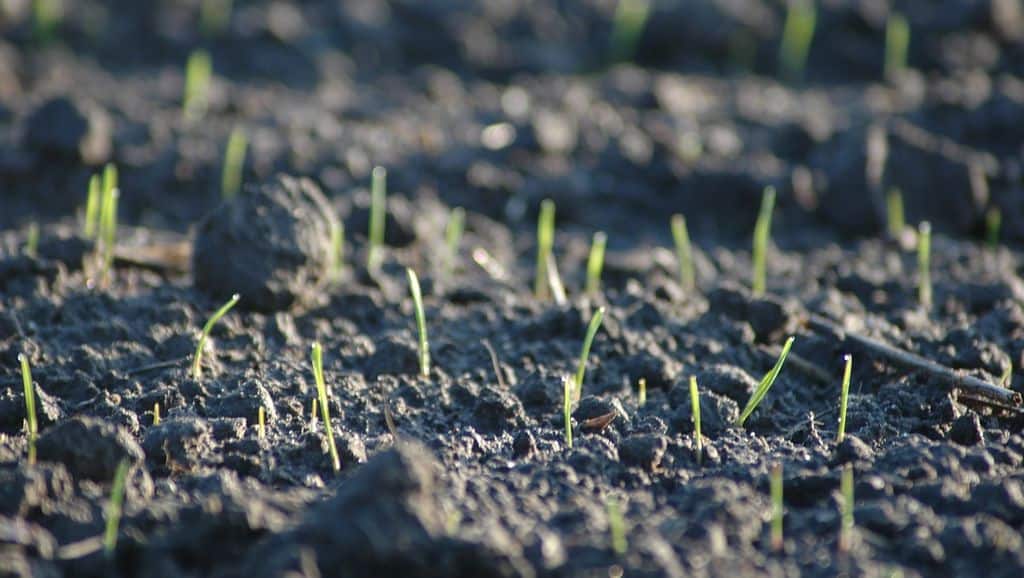 Cuma Val de Veude (37) : Trois semoirs différents au même tarif - Entraid