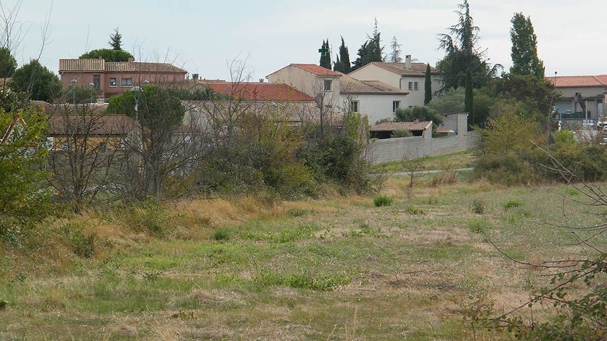 Remettre en culture des friches : des solutions à l'étude dans l'Aude