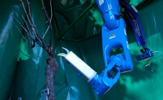 Robot de taille R2T2 lauréat 2021 du Prix des lycéens - Entraid