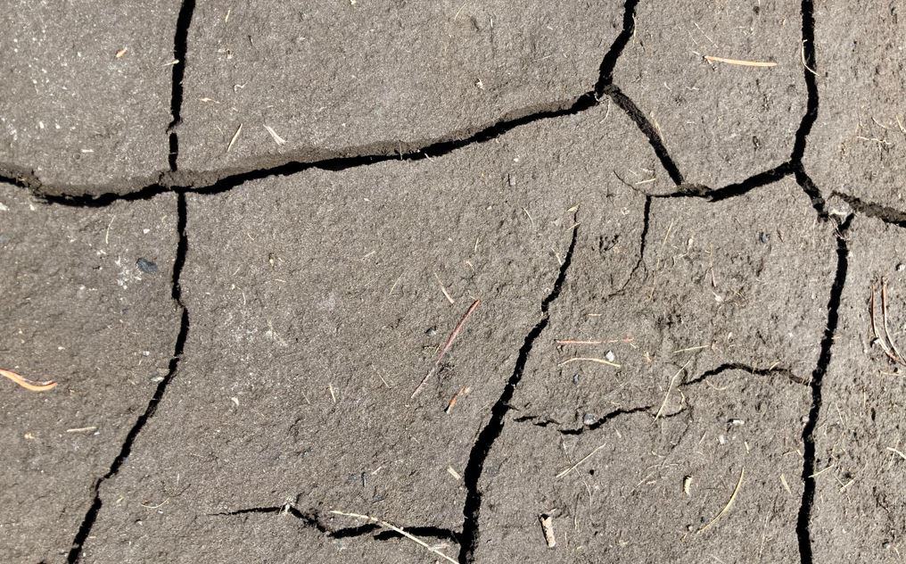 Sécheresse en Californie: une situation effrayante aux impacts importants