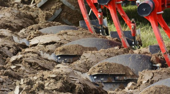 Réguler les adventices sans glyphosate : le labour reste une valeur sûre