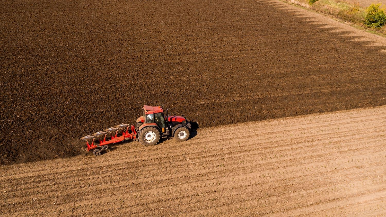 Charrue en cuma : caractéristiques et prix d'achat dans le Grand Est
