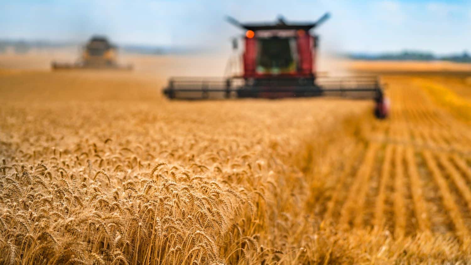 Valeur de la production agricole 2021 : les chiffres de l'INSEE à retenir