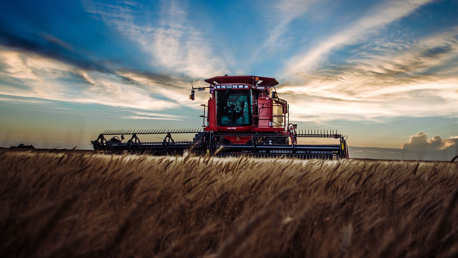 Moissonneuse-batteuse : fonctionnement, conduite, réglages, prix d'achat