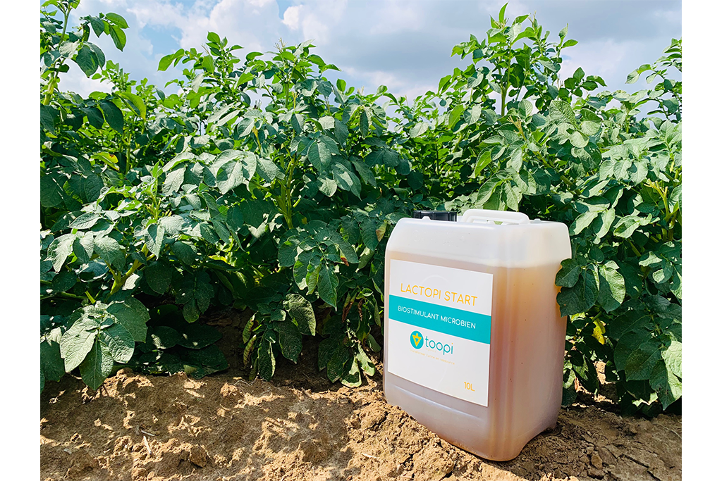 Fertilisation azotée : réduire ses émissions de gaz à effet de serre