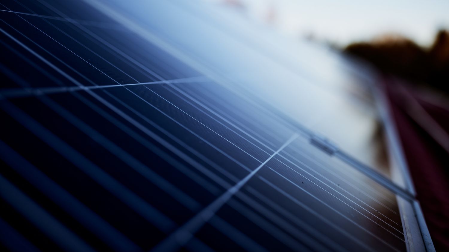 SAS collective pour une activité photovoltaïque : une solution efficace