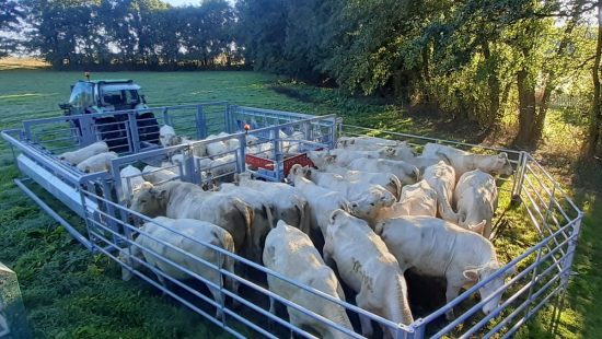 Un parc de contention mobile