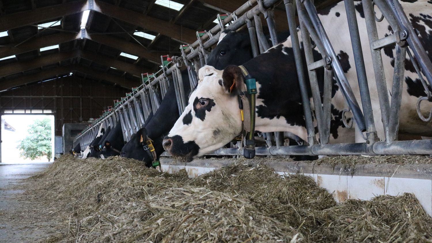 Conjoncture économique : l'inflation alimentaire inquiète