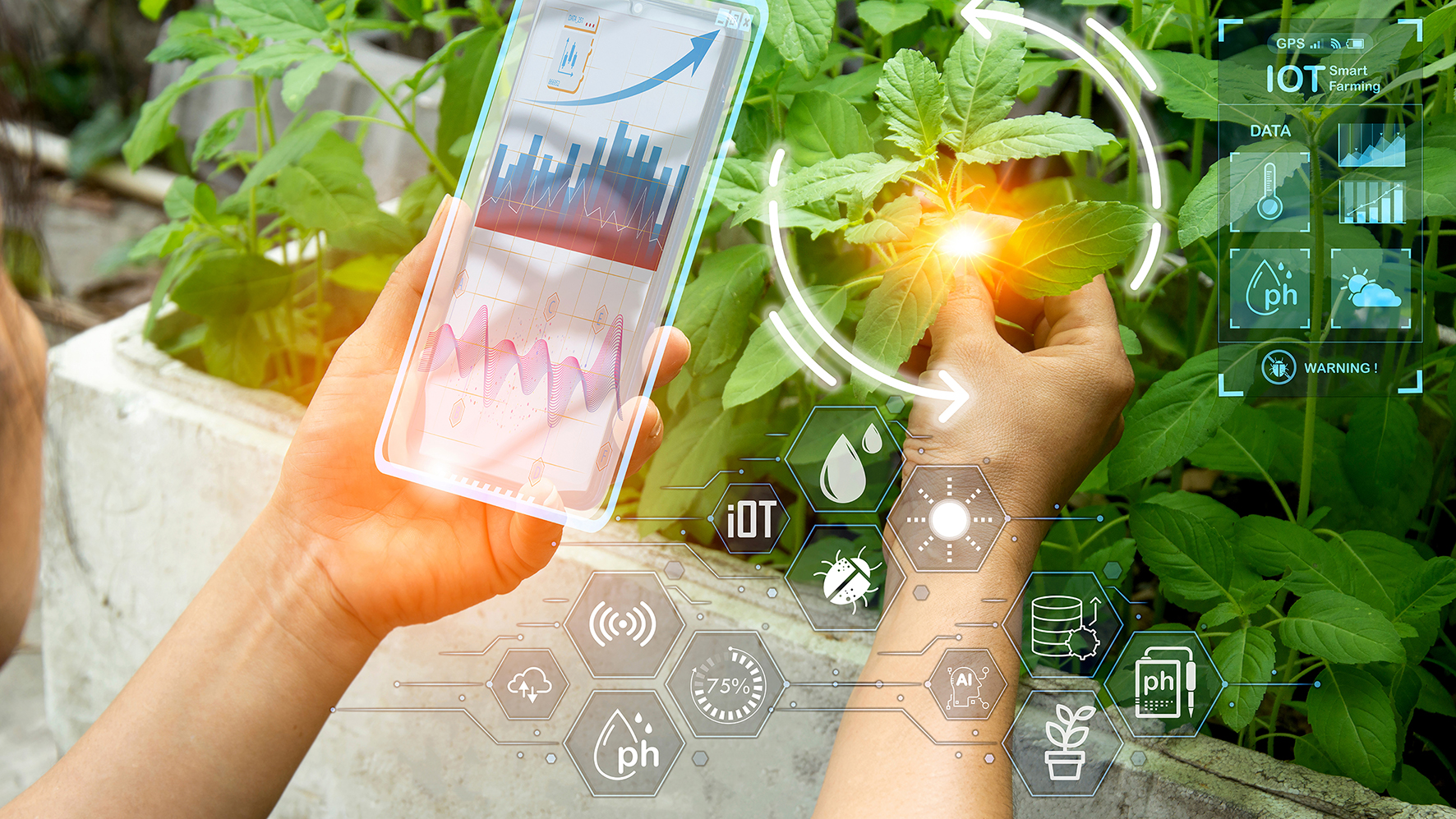 Digitalisation en agriculture et outils interconnectés