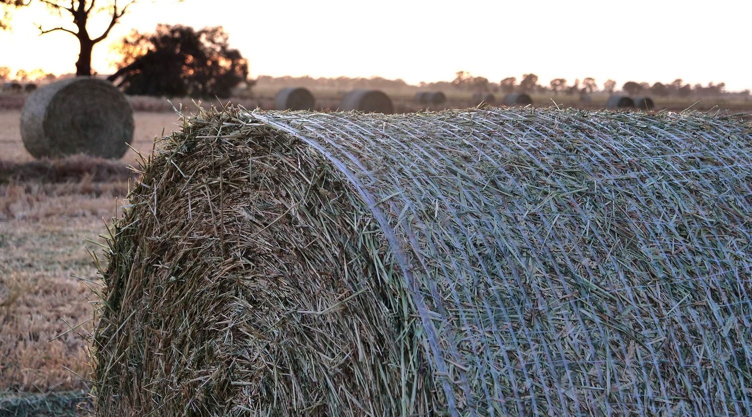 Tama EZ Web révolutionne le liage des balles rondes