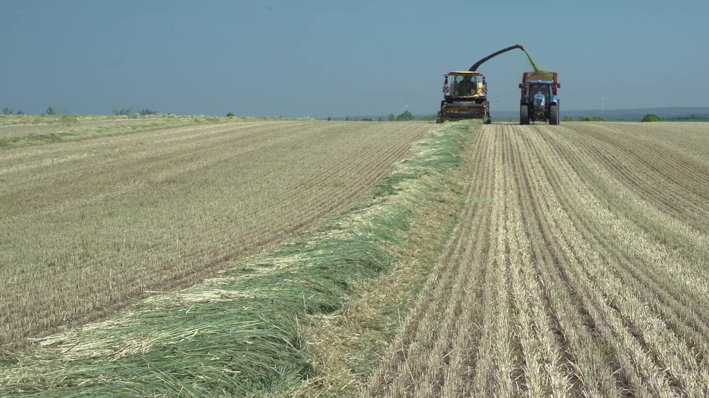 Cive d'hiver : que faut-il faire?