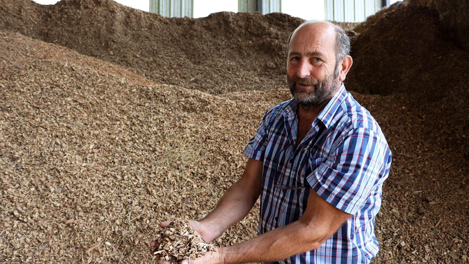 Cuma Compost 71: comment valoriser les arbres et arbustes