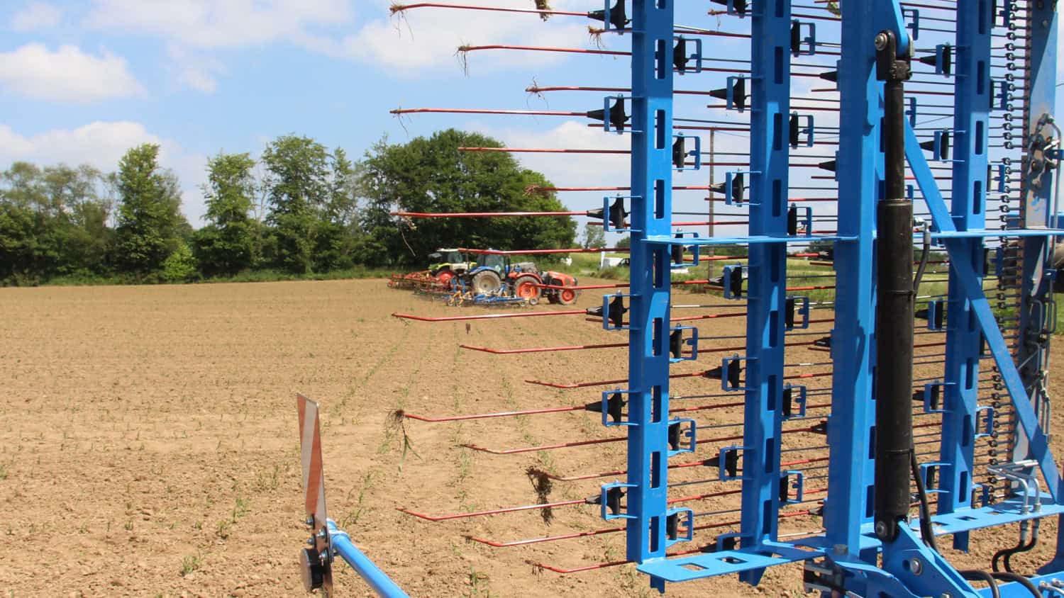 Herses étrilles : essai comparatif de 4 modèles dans le maïs bio