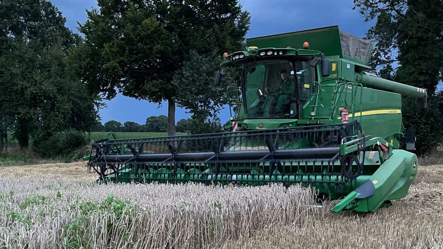 La Travailleuse moissonne collectif