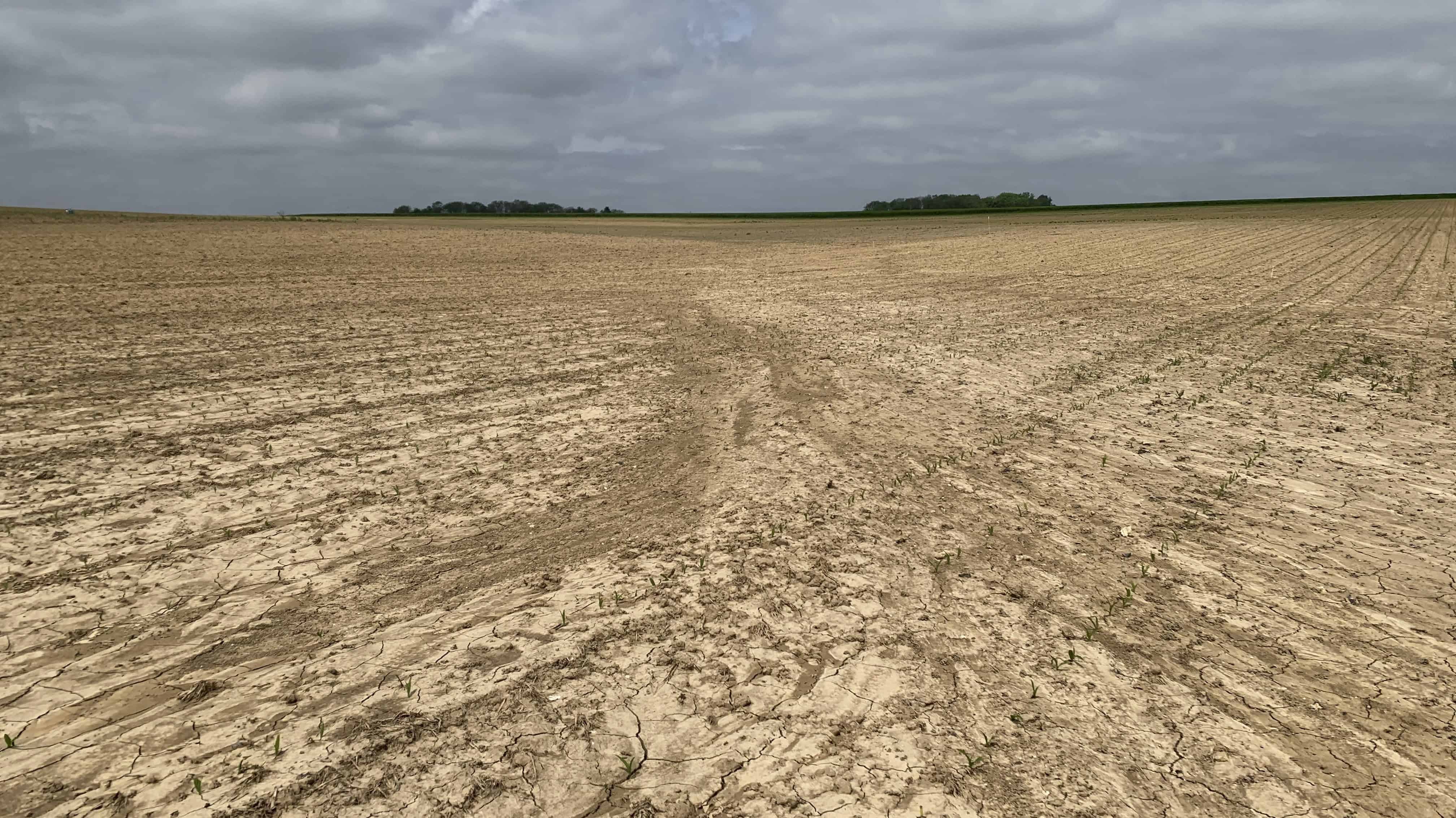 Infiltration de l'eau dans sol : comment l'améliorer