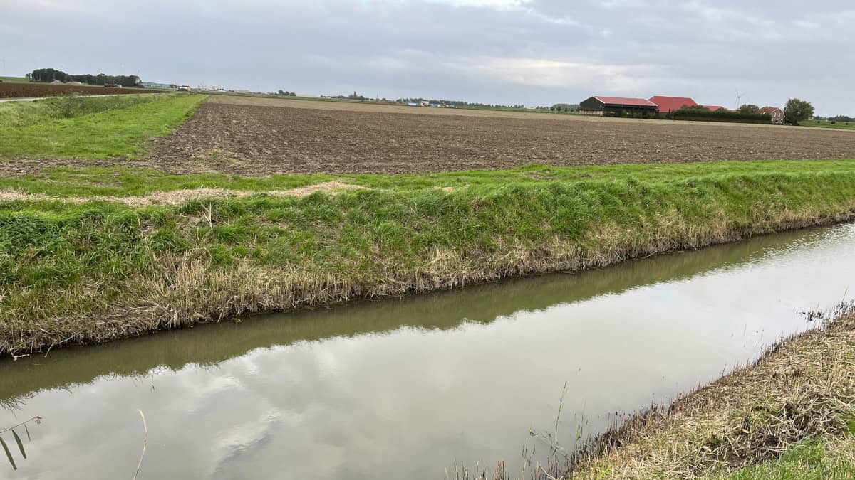 Agriculture Pays-Bas : comment cultiver sous le niveau de la mer
