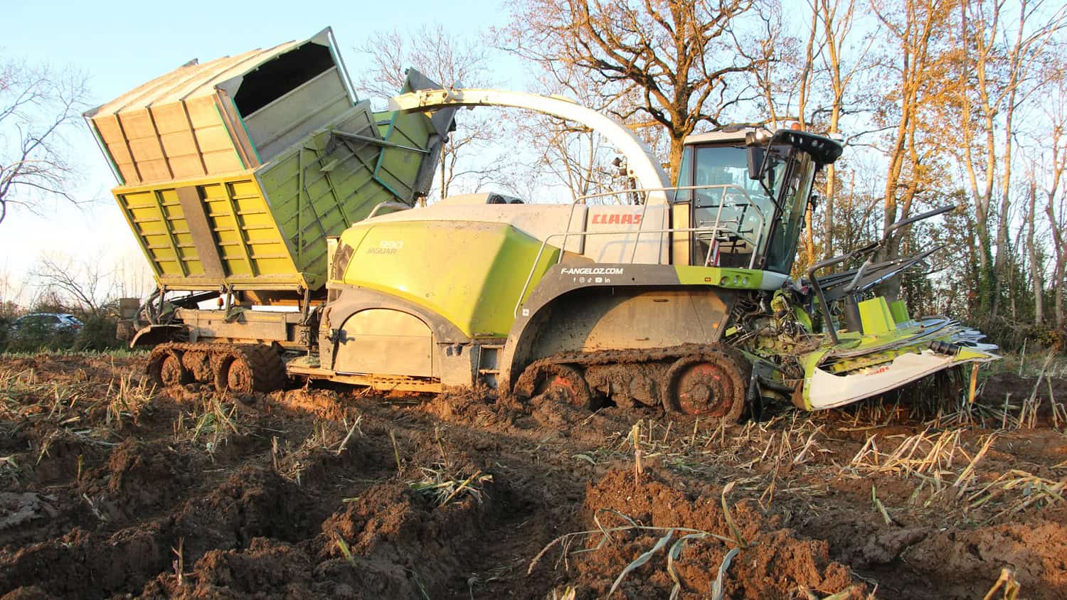 Jaguar 990 XShuttle TT : ensileuse à caisson Claas sur chenilles