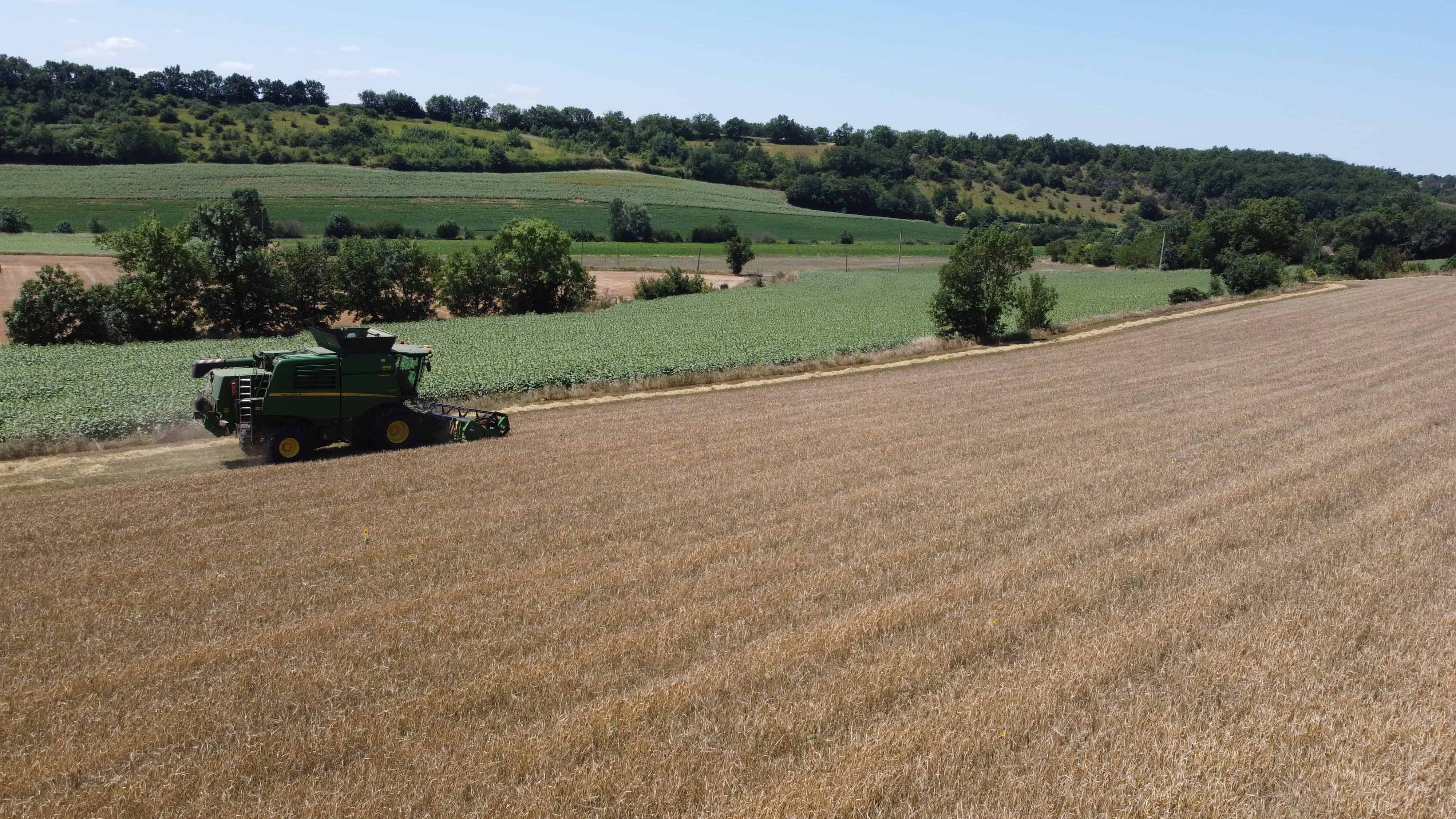 Travail agricole par forte chaleur : comment se protéger