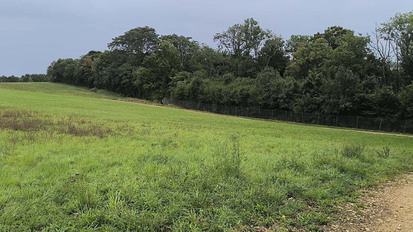 Zone de captage : l'herbe, option durable