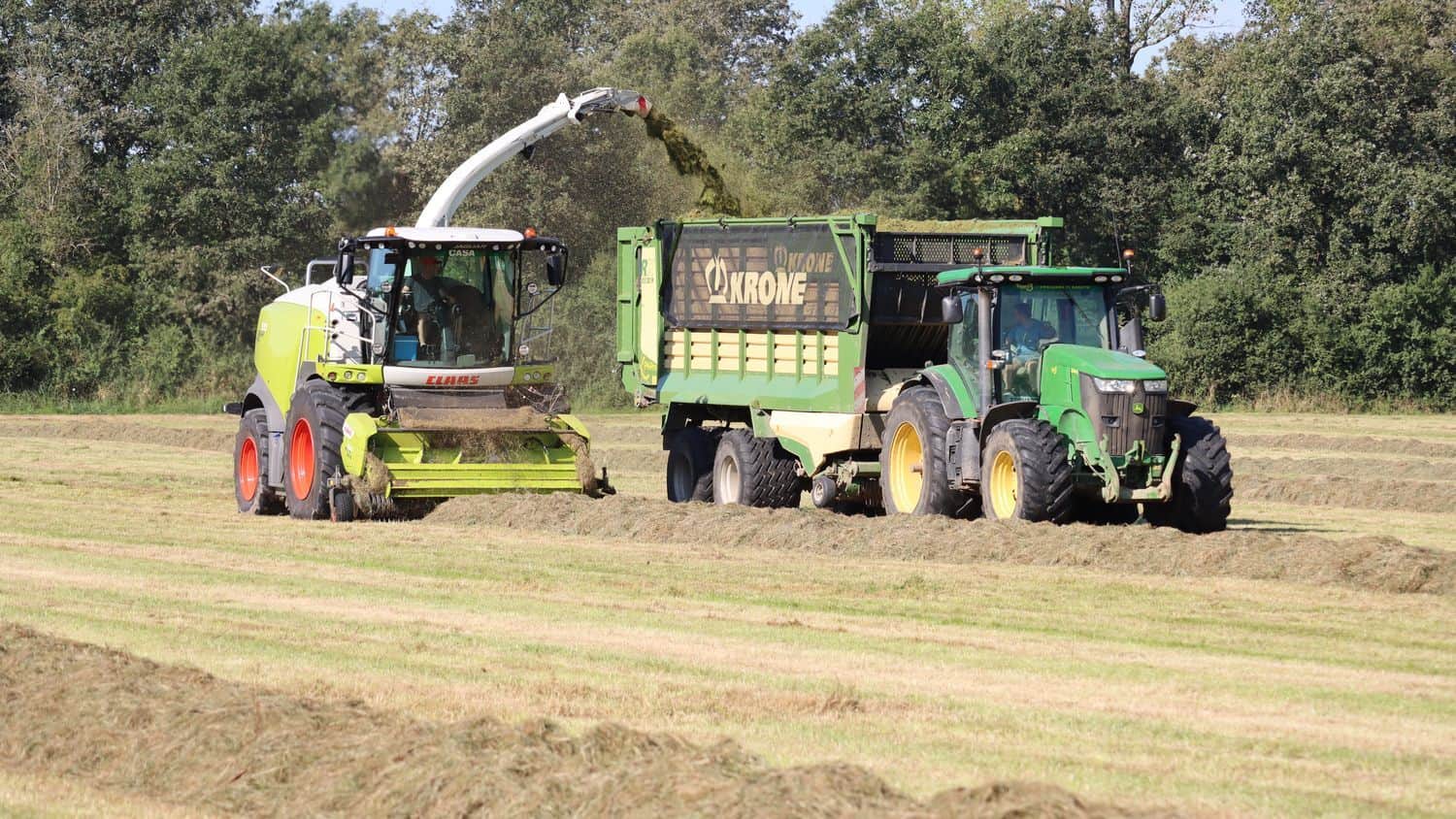 CDD ou CDI : comment choisir pour l'employeur agricole