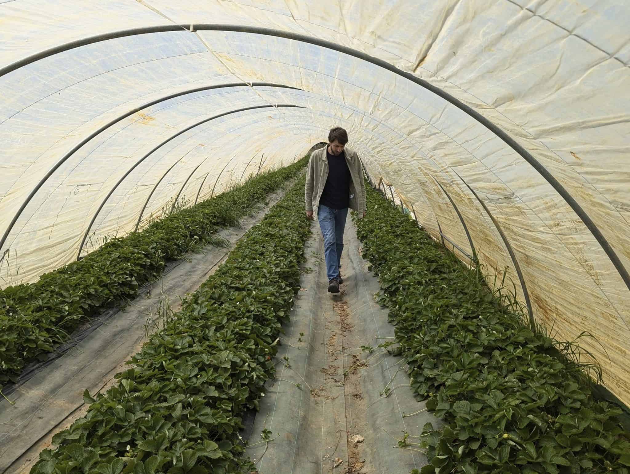 Agriculture sans énergie fossile : rencontre avec Guillaume Tant